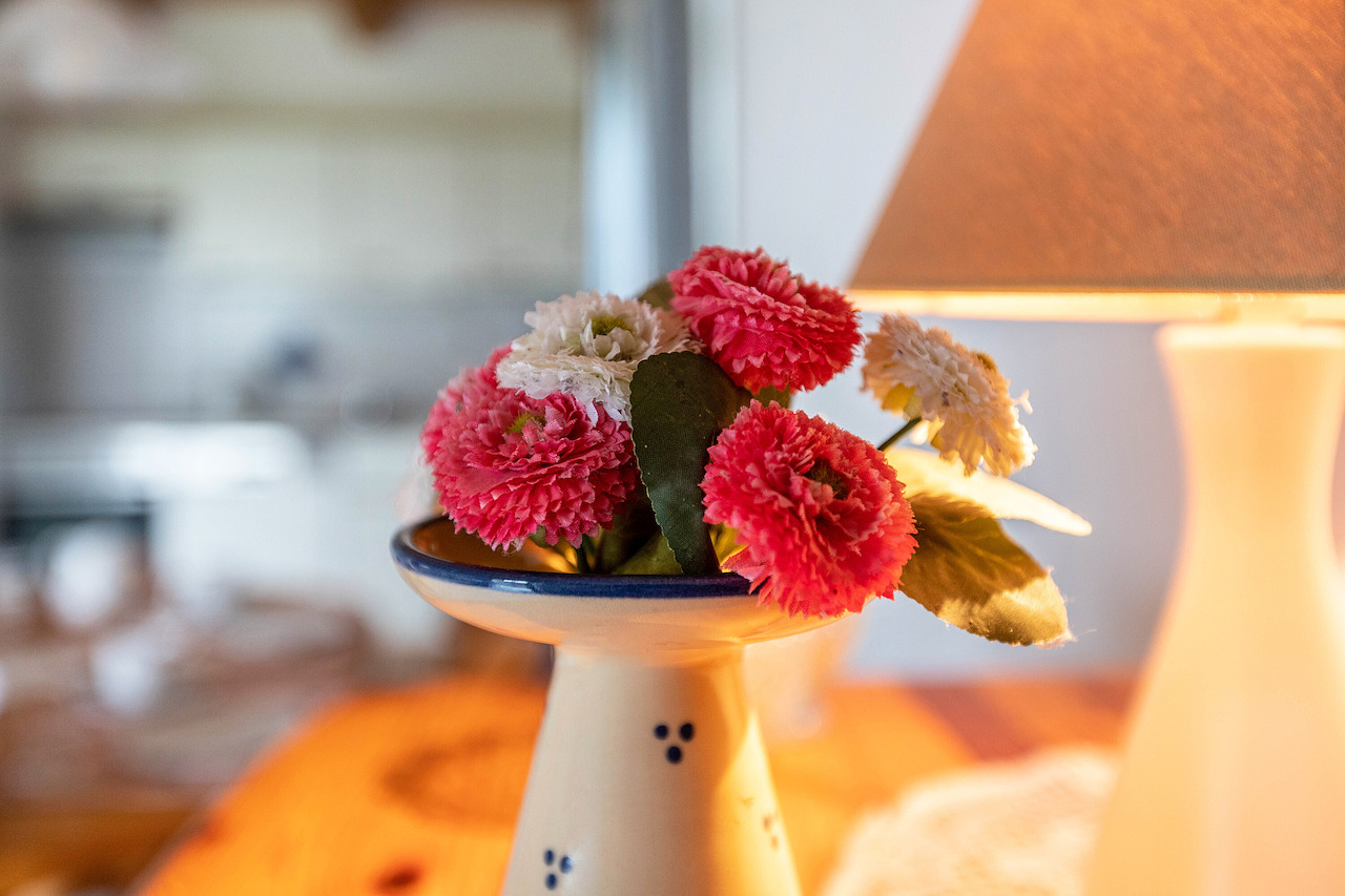 Schäferhof Dircks - » Ferienwohnungen Nordsee-Urlaub bei St.Peter-Ording