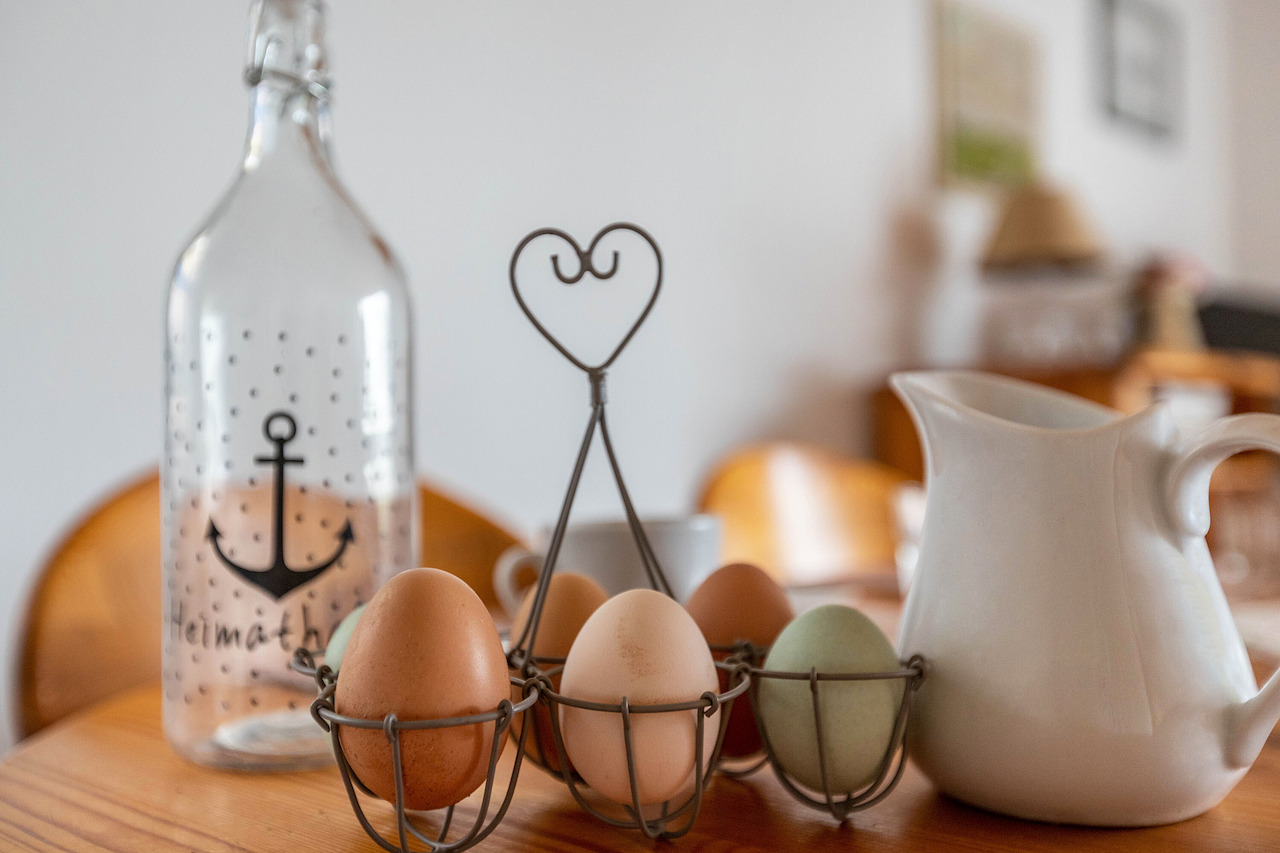 Schäferhof Dircks - » Ferienwohnungen Nordsee-Urlaub bei St.Peter-Ording