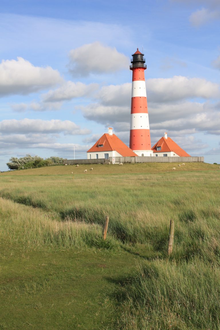 Schäferhof Dircks - » Auf unserem Hof Nordsee-Urlaub bei St.Peter-Ording